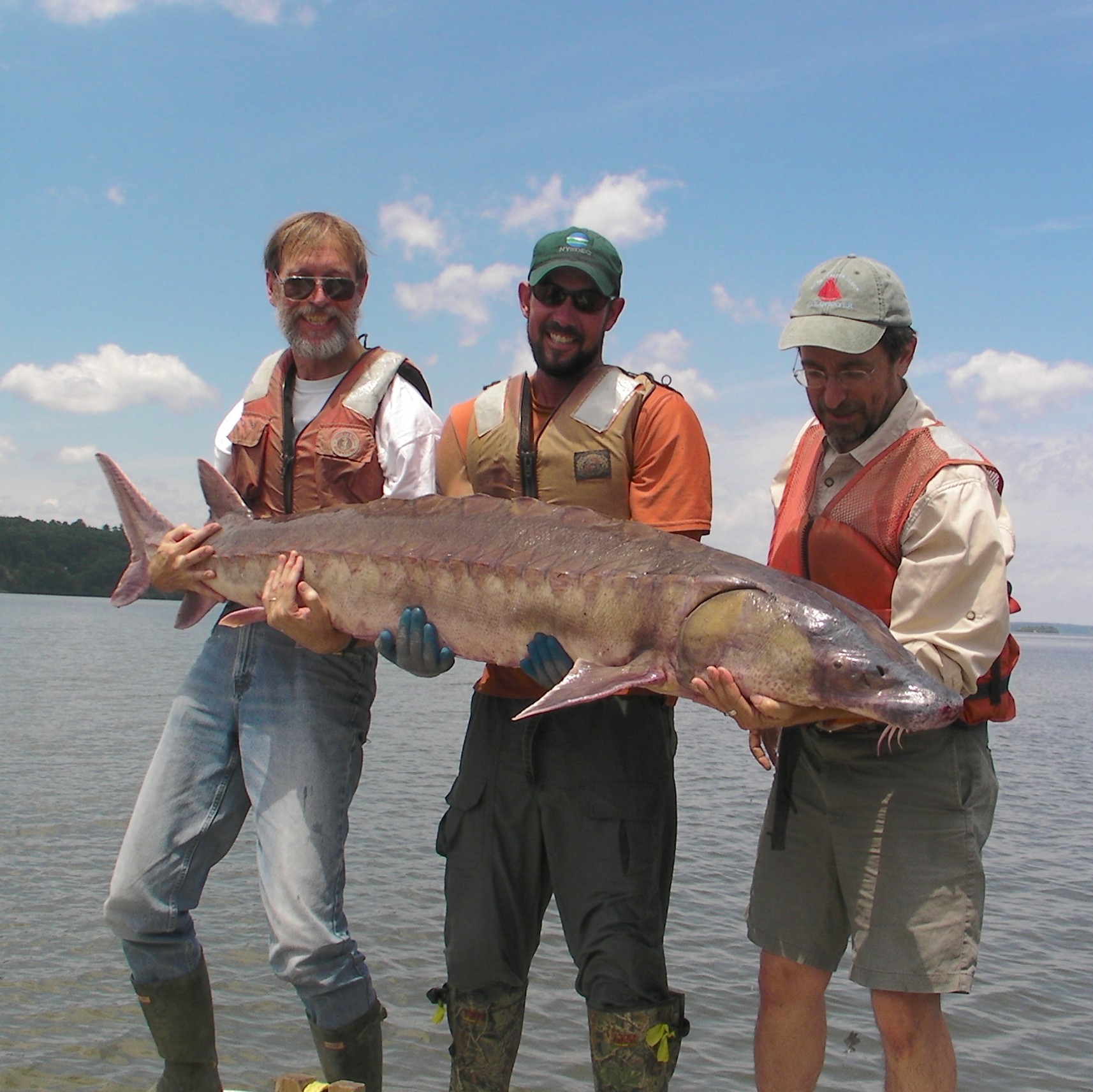 ENGAGE - Andrew Revkin